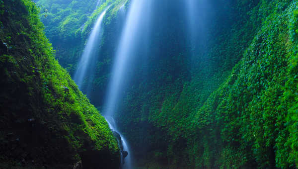 Luxury Java Holidays 2024/25 | Luxury Hotels In Java