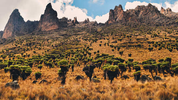 Meru National Park | Luxury Kenya Safari | Elegant Resorts